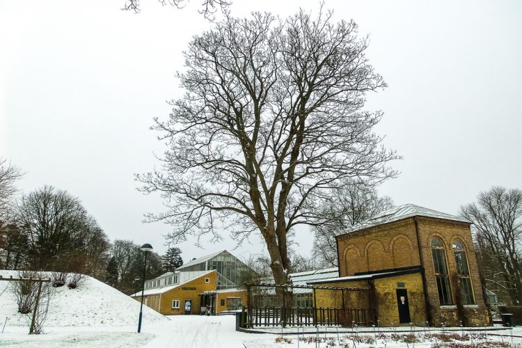 Lund, the most relaxed city of Sweden | InspiringTravellers.com